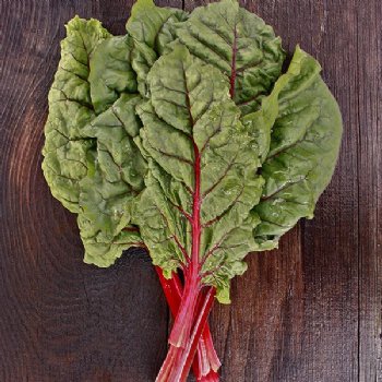 Ruby Red Chard – The Urban Homemaker