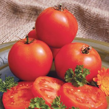 Mountain Princess Tomato – The Urban Homemaker